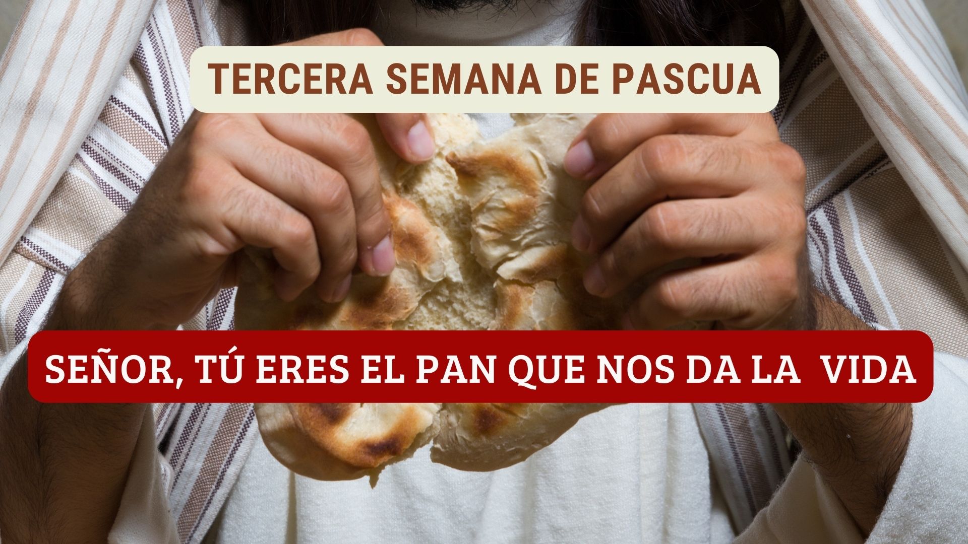 Somos alentados en medio de las dificultadaes por quien es el Pan de ...
